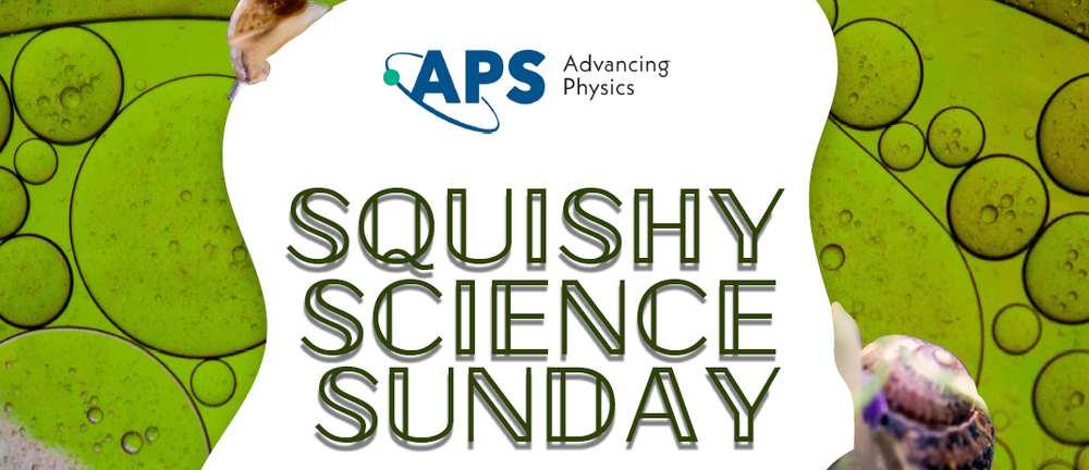 Reminder: APS Squishy Science Sunday Is Mar. 3 | Beckman Foundation