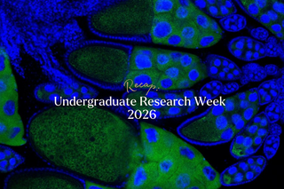 RECAP: Undergraduate Research Week 2026 | Beckman Foundation