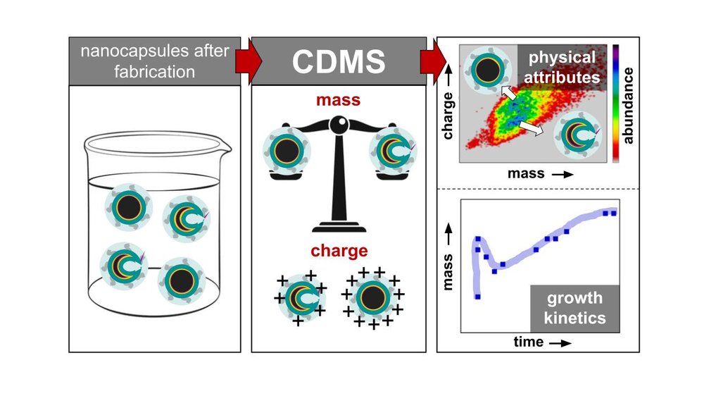 Beckman Friday Feature: Tracy Schloemer and Conner Harper | Beckman ...
